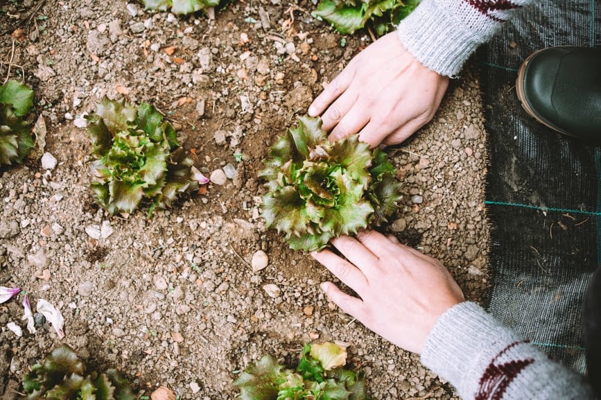 Environmental Health: What it is and Why it's Important